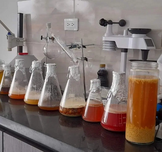 Pam coffee roaster – PAMCOFFEEROASTER