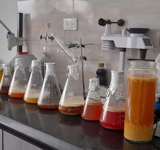 Pam coffee roaster – PAMCOFFEEROASTER