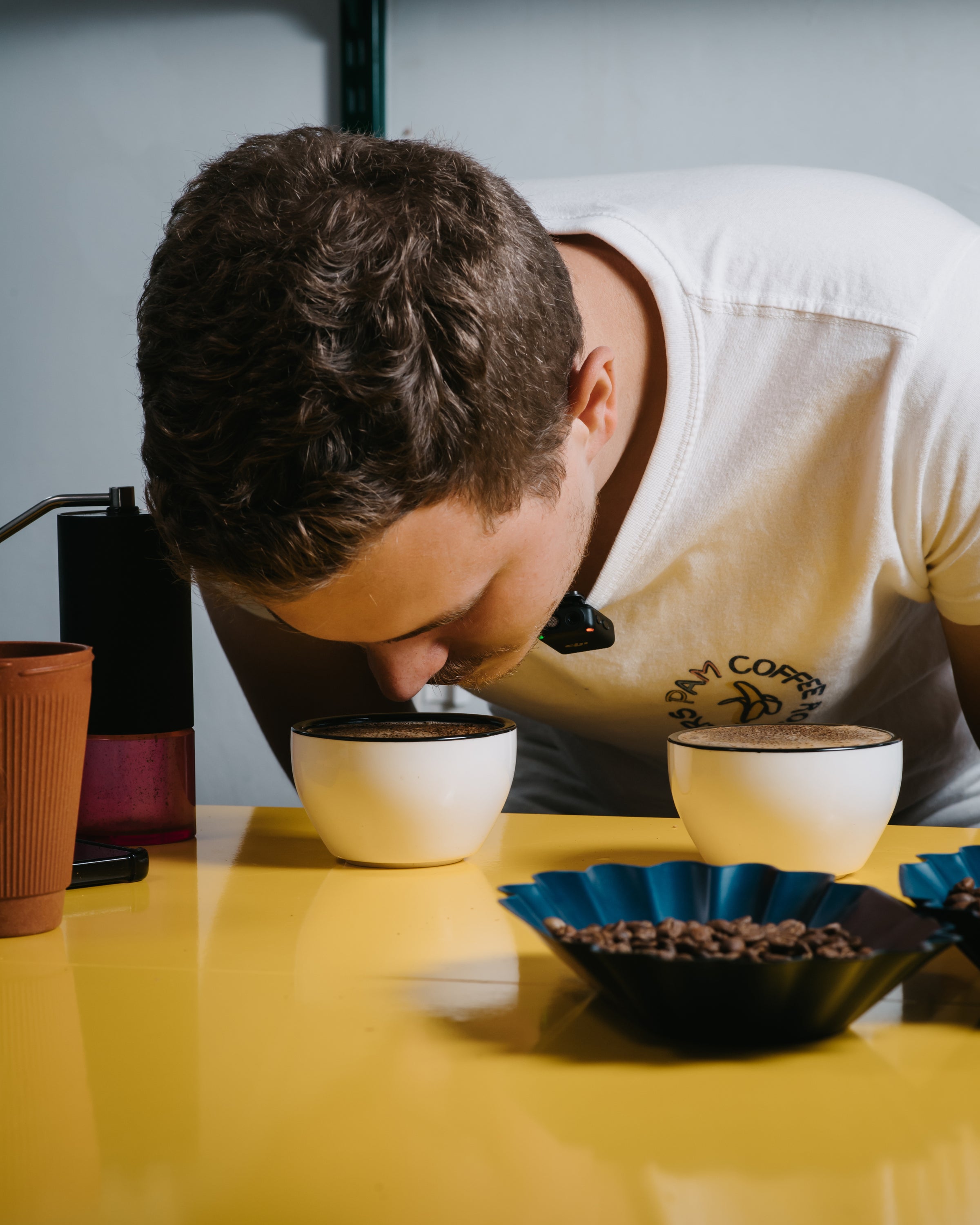 Pam coffee roaster – PAMCOFFEEROASTER